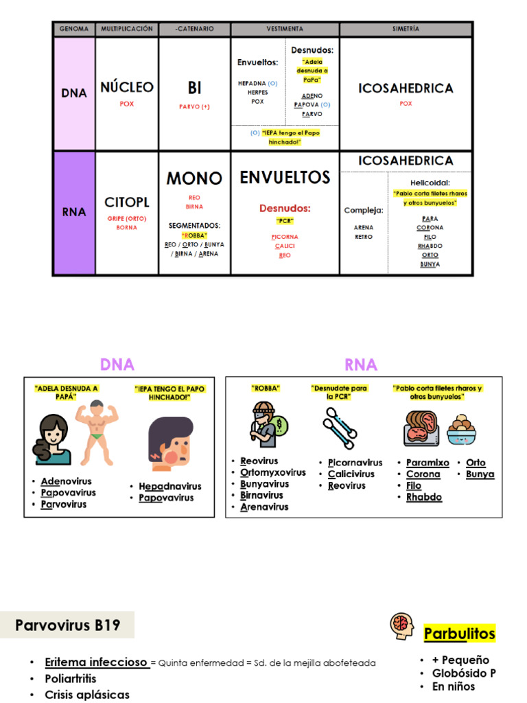 Virus y Enfermedades Infecciosas Comunes | PDF | Virus | Hepatitis
