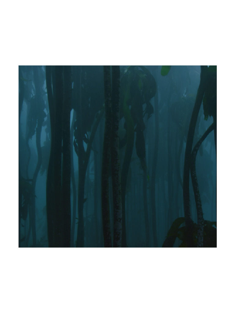 01 (Dragged) 3 | PDF