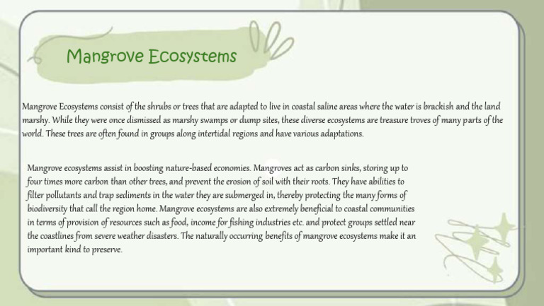 Mangrove Ecosystems-Slide | PDF