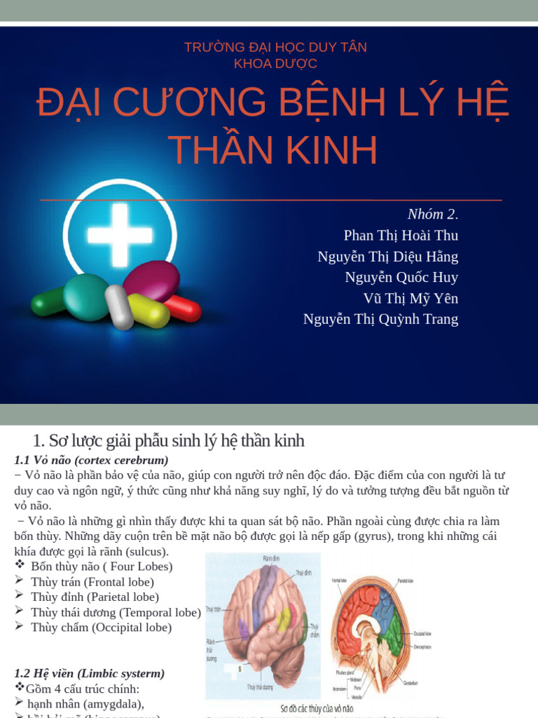 2.9 General Neuropathy | PDF