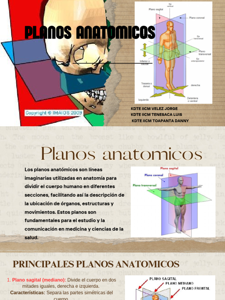 Guía de Planos Anatómicos | PDF