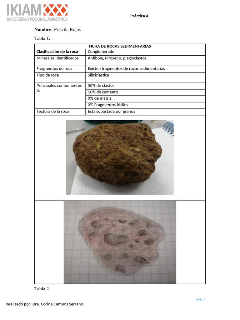 Practica 3b Clasificación de Rocas Sedimentarias | PDF | Roca clástica | Roca sedimentaria