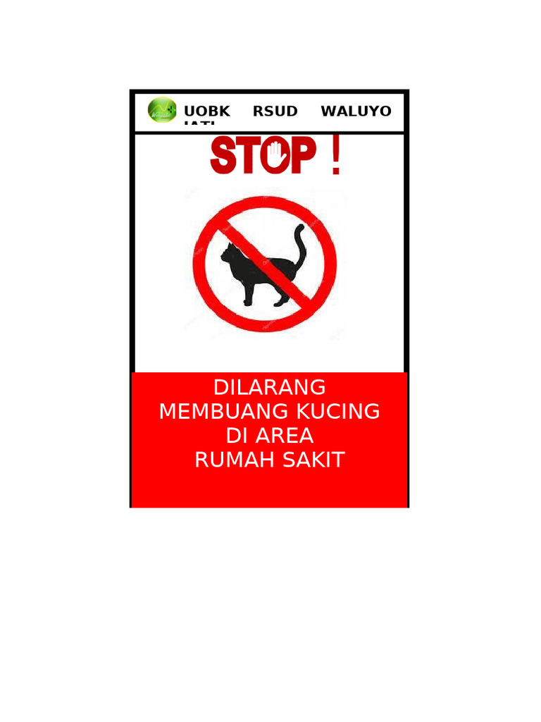Bener Kucing Ok | PDF