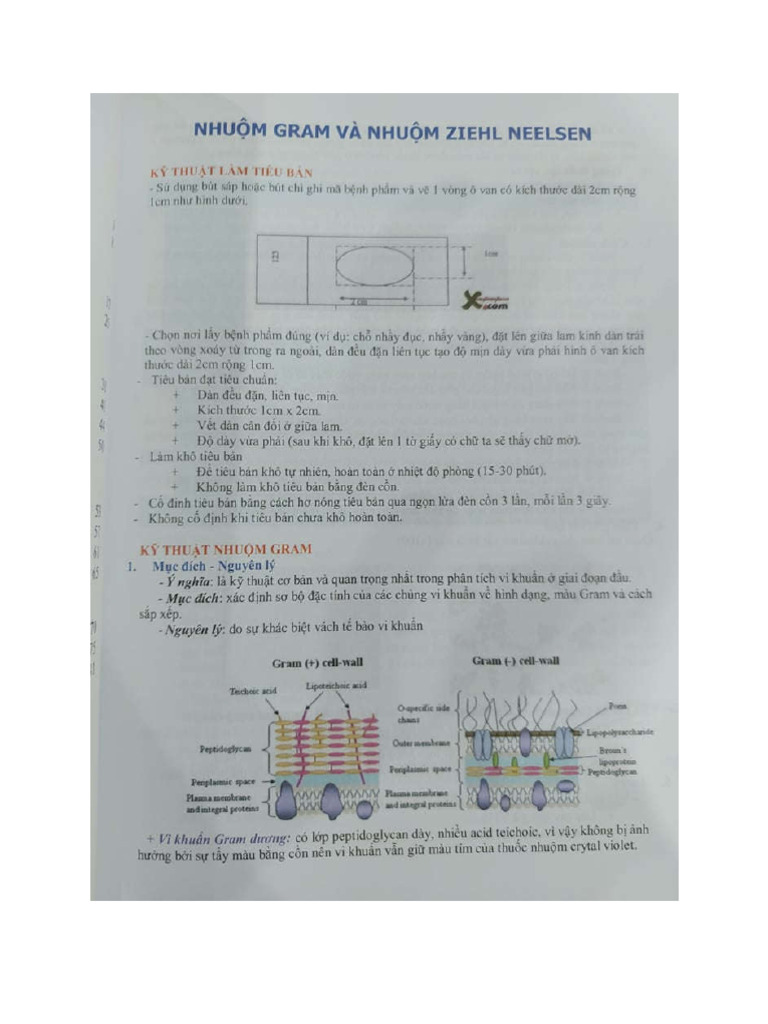 Sách VS KST | PDF