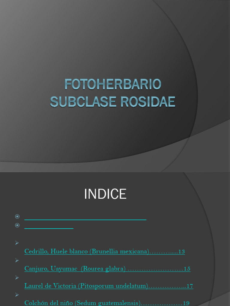 Foto Herbario SUB CLASE ROSIDAE. | PDF | Arboles | Cocina vegana