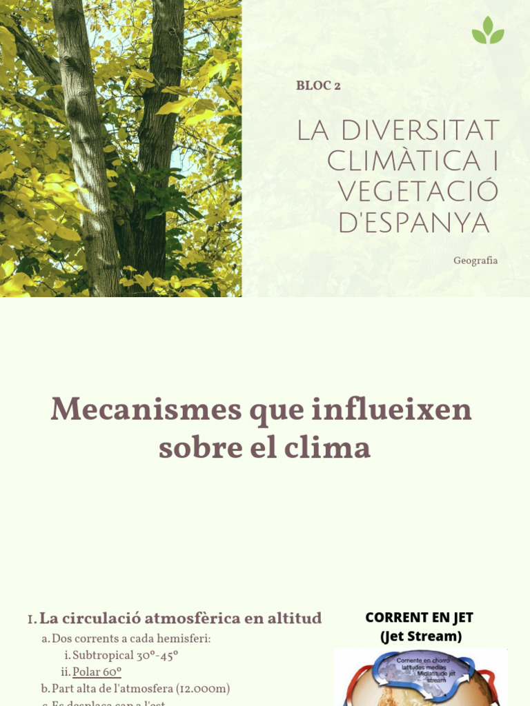 Climes I Vegetació Espanya Batxillerat | PDF