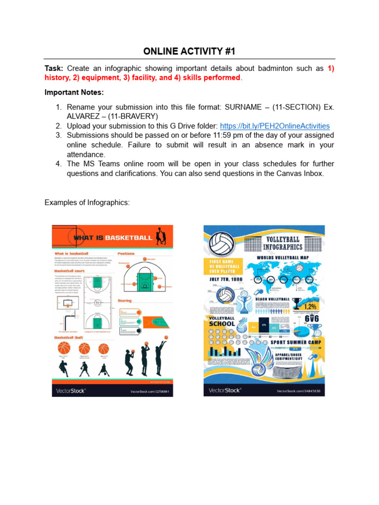 Badminton Infographic Project Guide | PDF