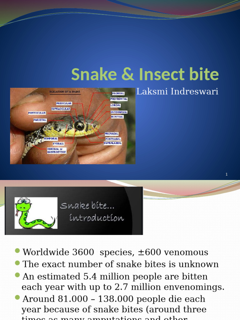Snake and Insect Bite | PDF | Snake