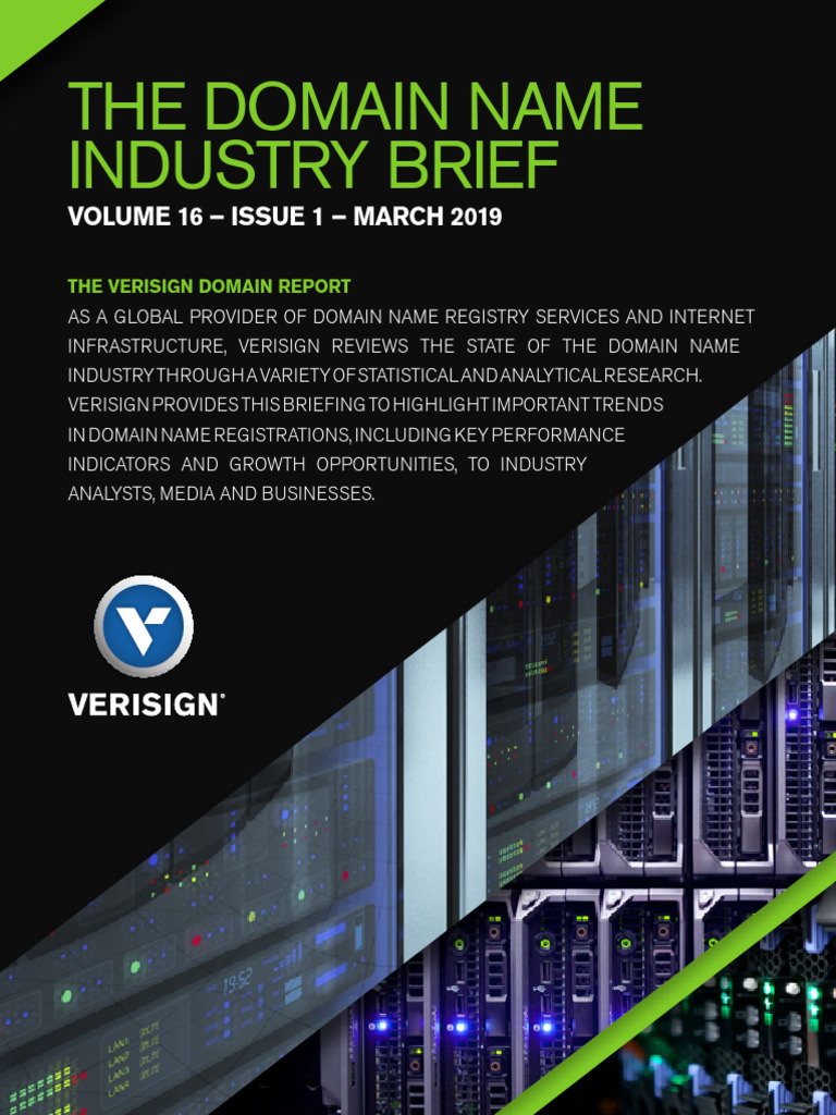 Domain Main Name Report Brief | PDF | Domain Name | Application Layer Protocols