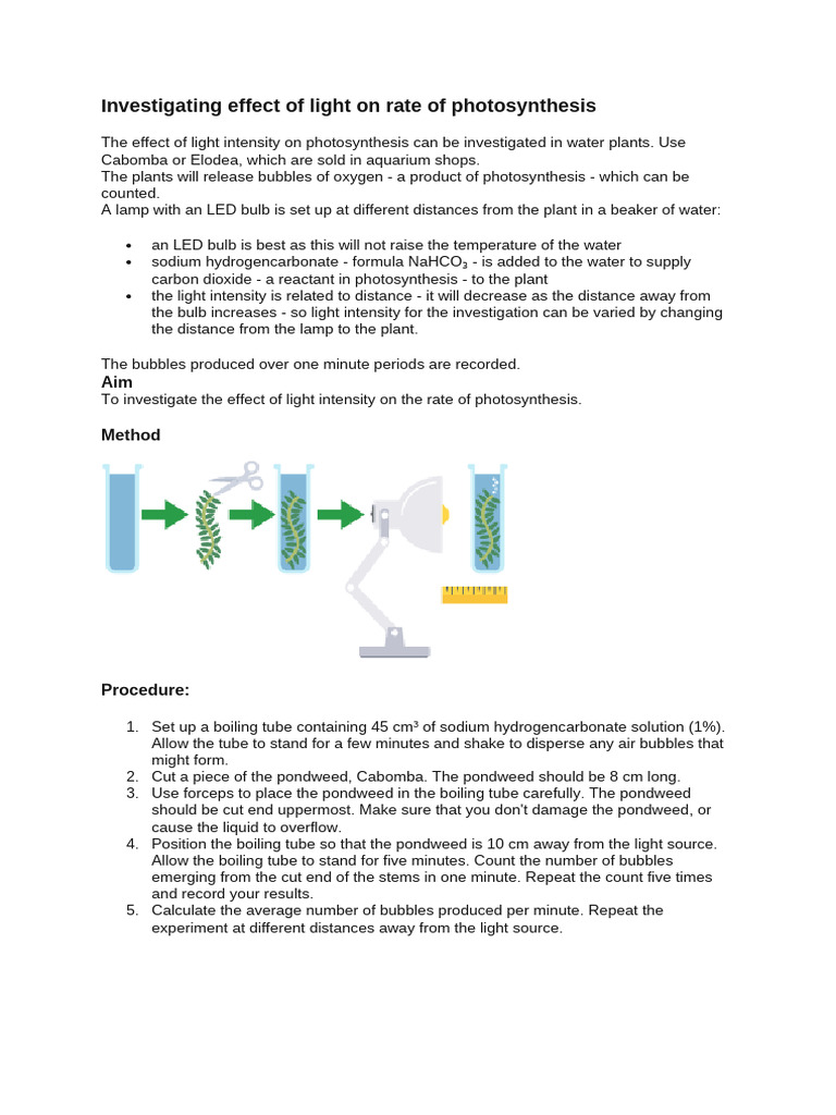 Investigating Effect of Light On Rate of Photosynthesis | PDF ...