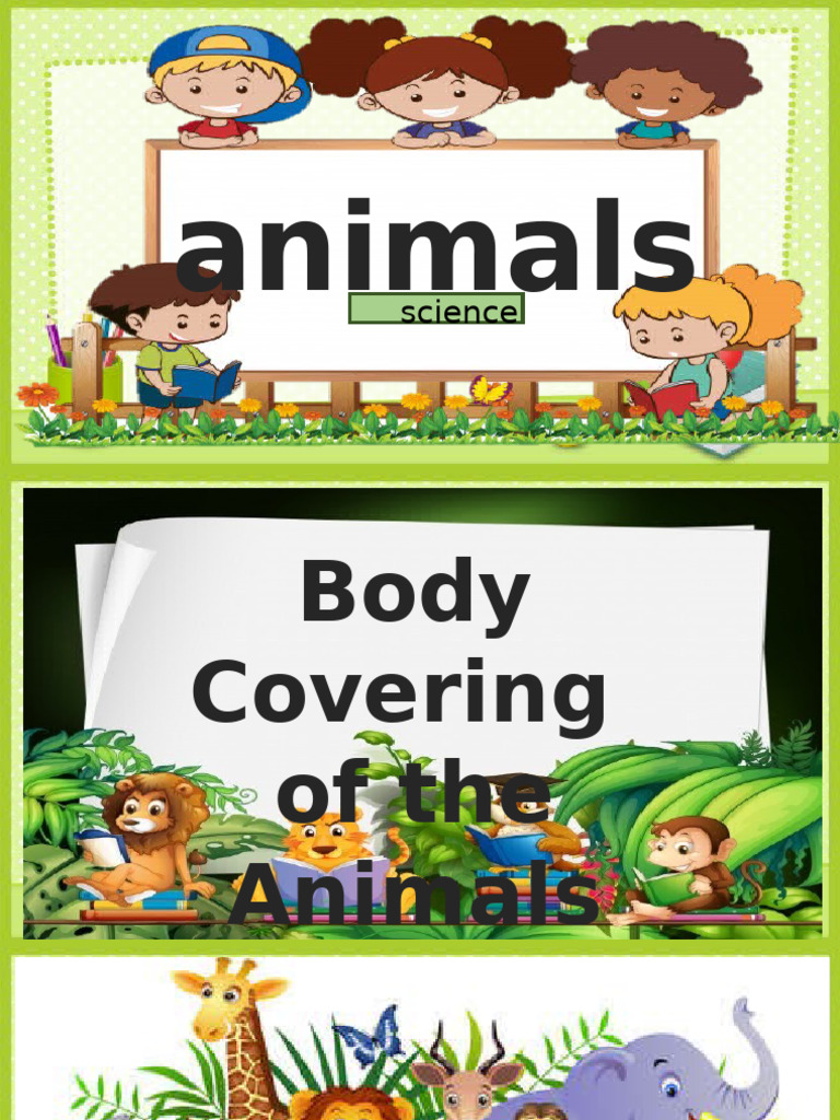 Animal Body Coverings Guide | PDF