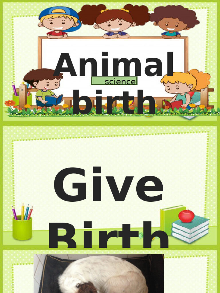 Animal Birth and Reproduction Methods | PDF