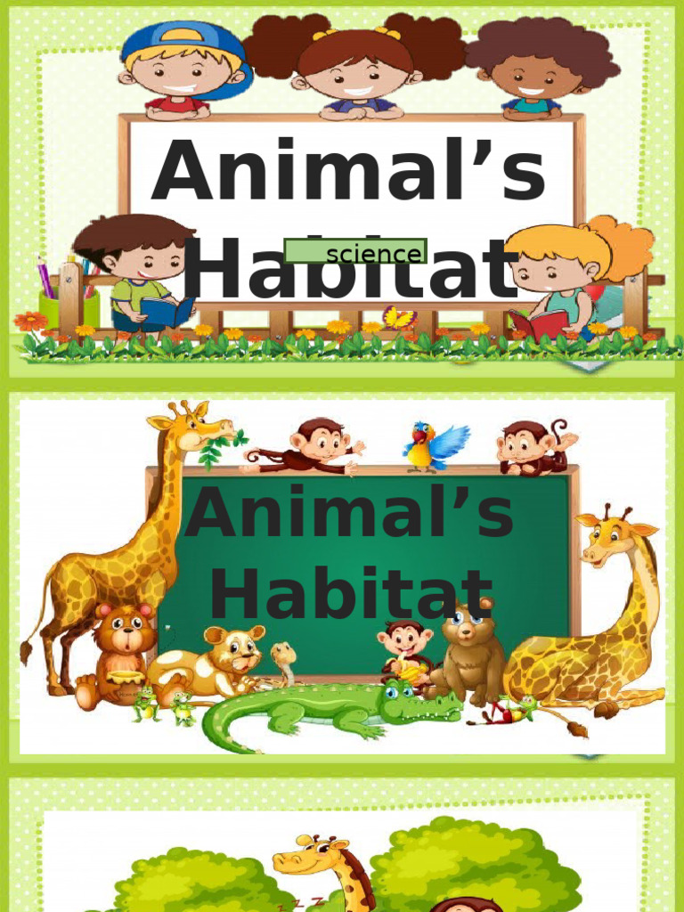 Animals (Land, Water and Air) | PDF