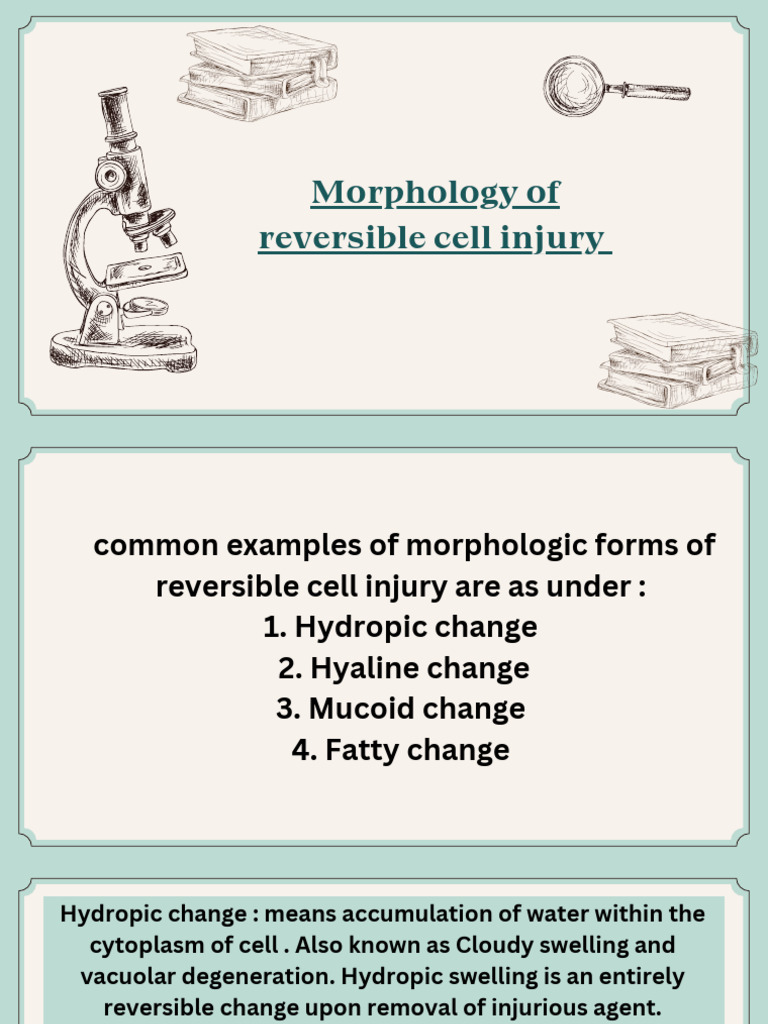 Morphology of Reversible Cell Injury - 20240916 - 133746 - 0000 | PDF ...