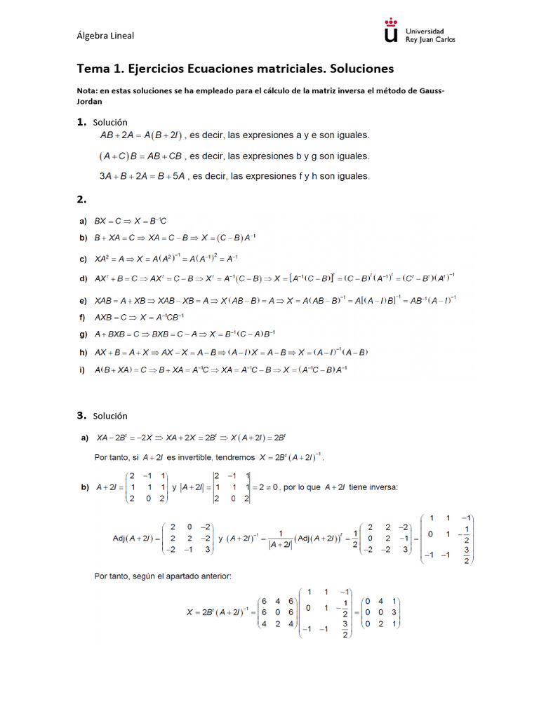Tema1 Ejercicios Ecuaciones Matriciales Soluciones | PDF
