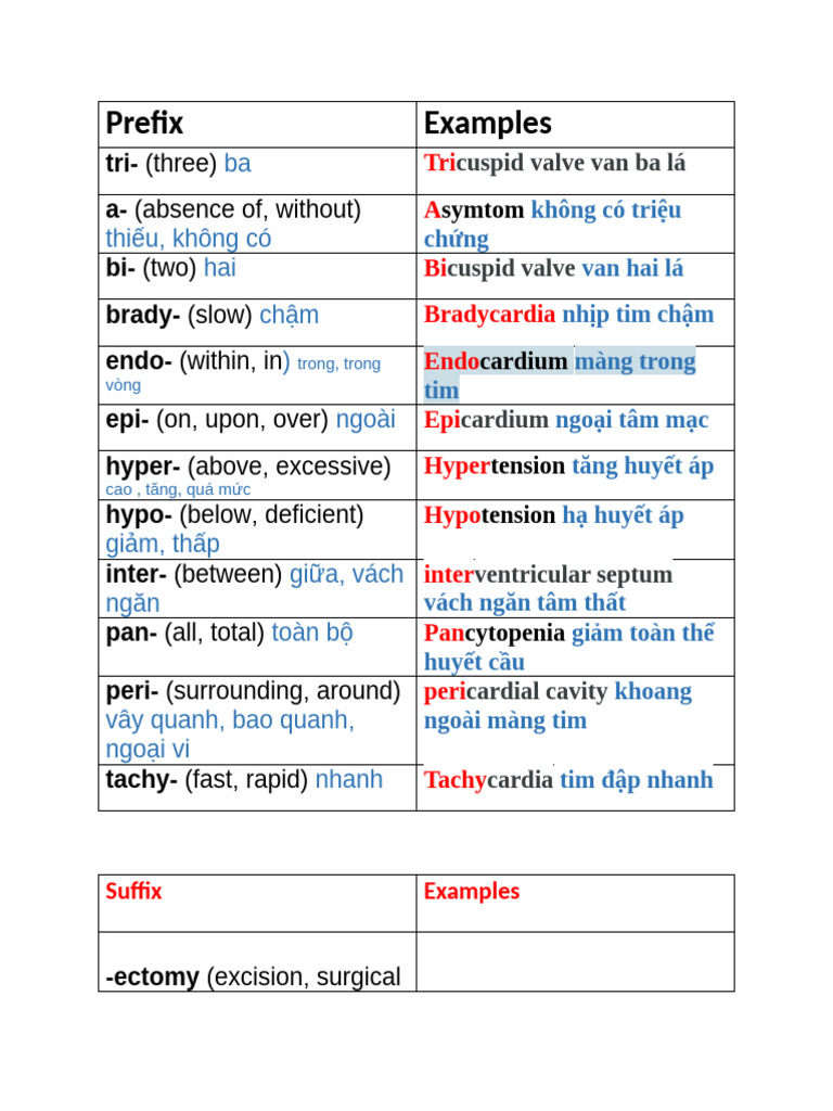 Prefix and Suffix | PDF