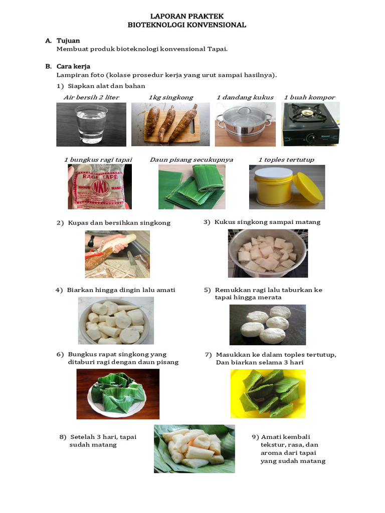 Pembuatan Tapai: Proses Fermentasi Singkong | PDF