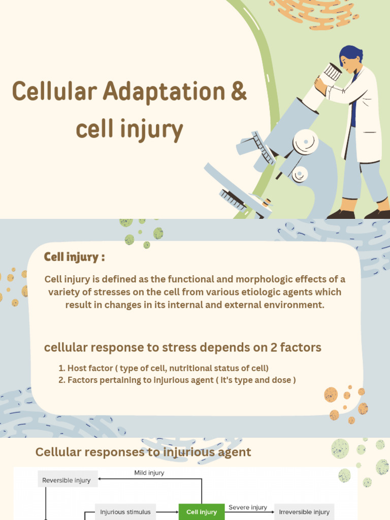 Cellular Injury: Causes & Responses | PDF | Cell (Biology) | Injury