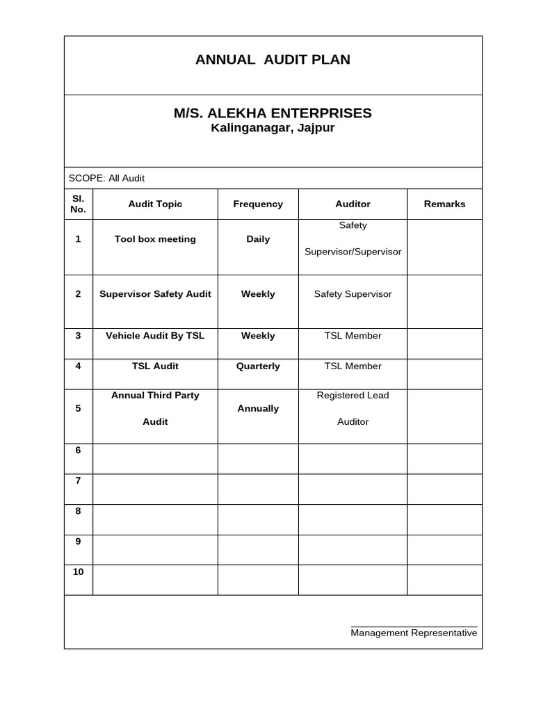 Annual Audit Plan | PDF