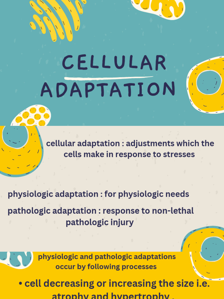 Cellular Adaptation Mechanisms Explained | PDF | Atrophy | Medical ...