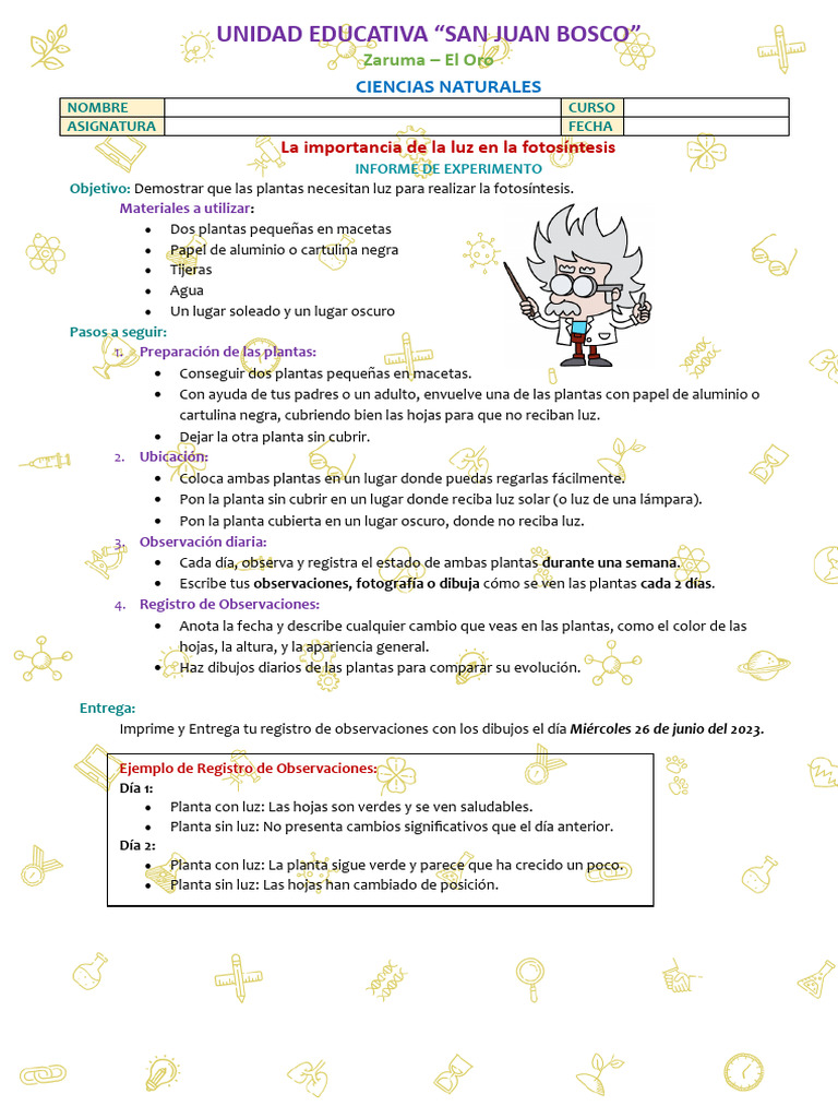 CC - NN Experimento 7mo (La Fotosíntesis) | PDF | Plantas