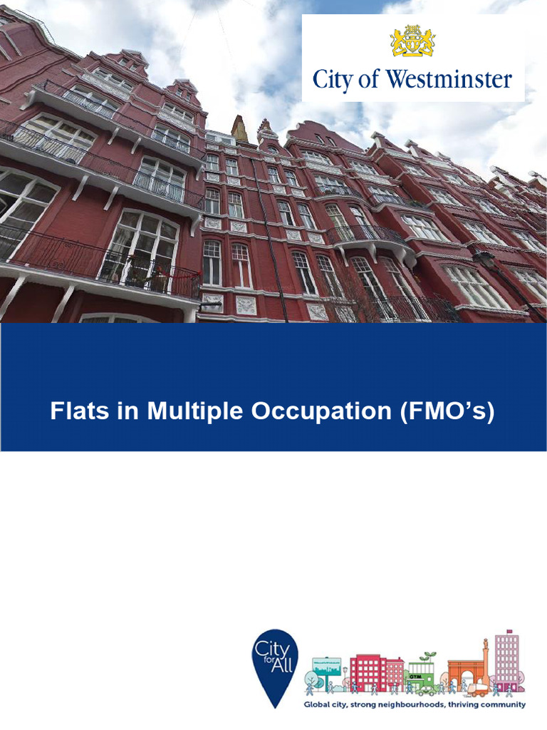 Fmo Standards 2018 | PDF