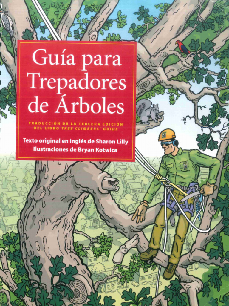 Guia para Trepadores - 202309201101 | PDF | Tallo de la planta | Cuerda