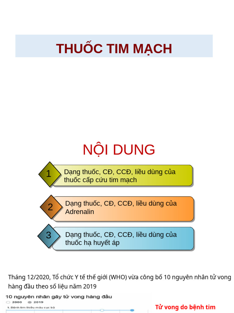 Tim Mach | PDF