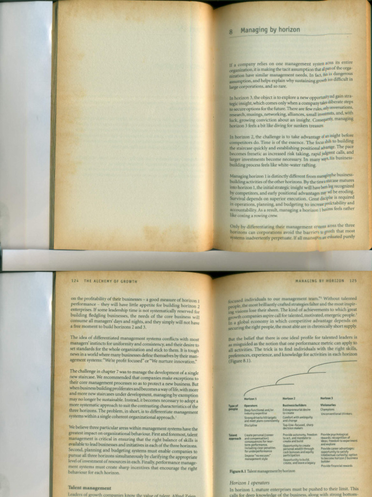 CH 8. Managing by Horizon - Assigned Reading | PDF