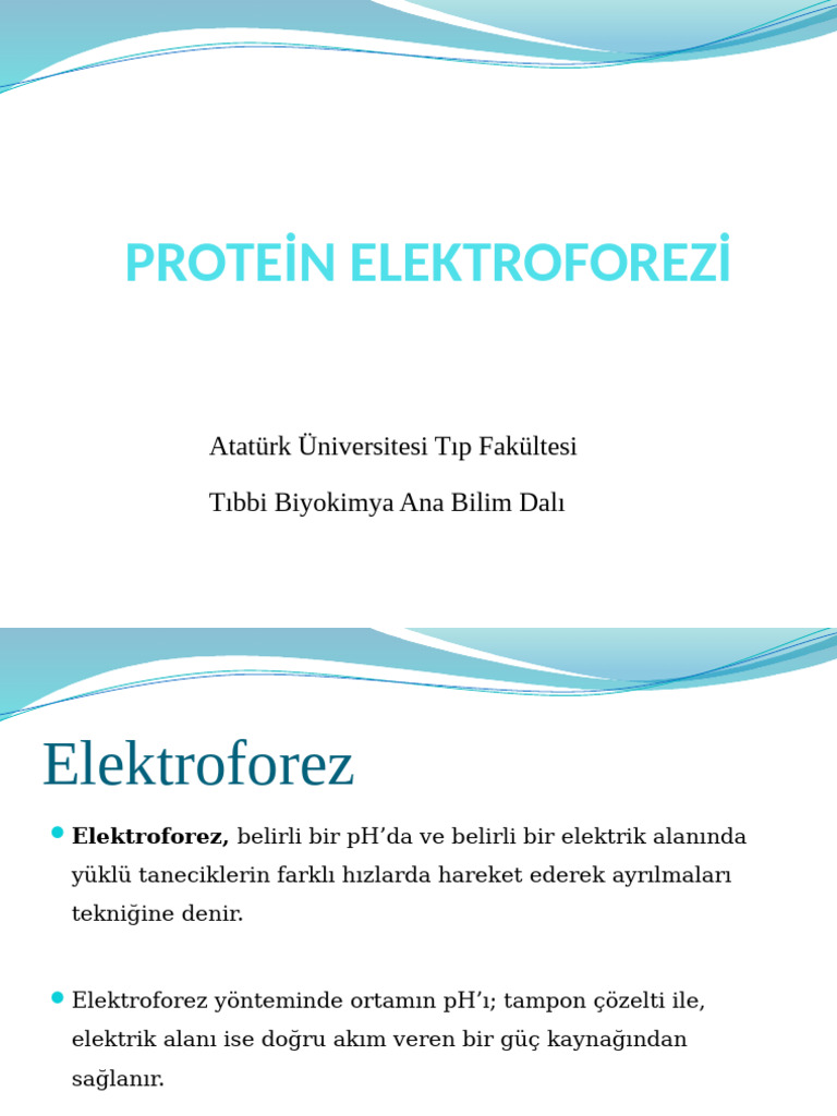 Elektroforez | PDF