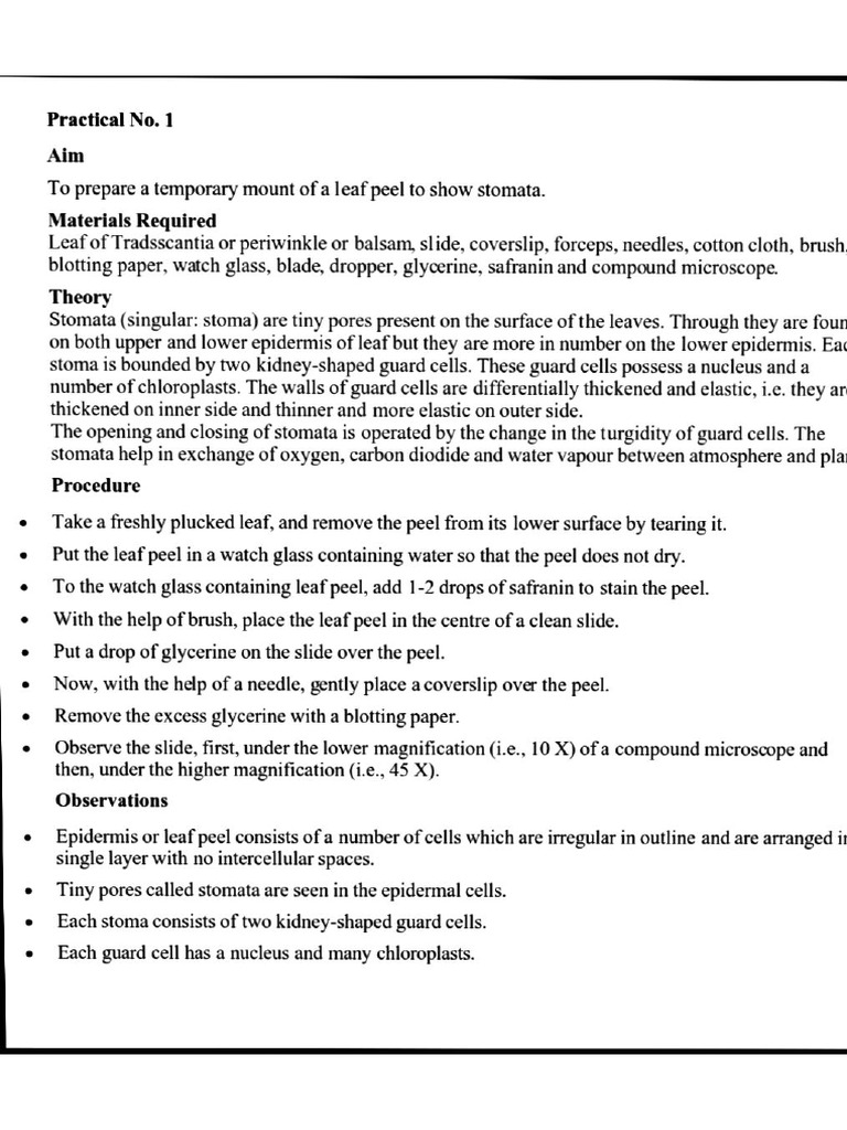 Class X Bio Practical | PDF