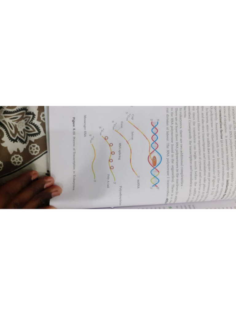 211736 | PDF