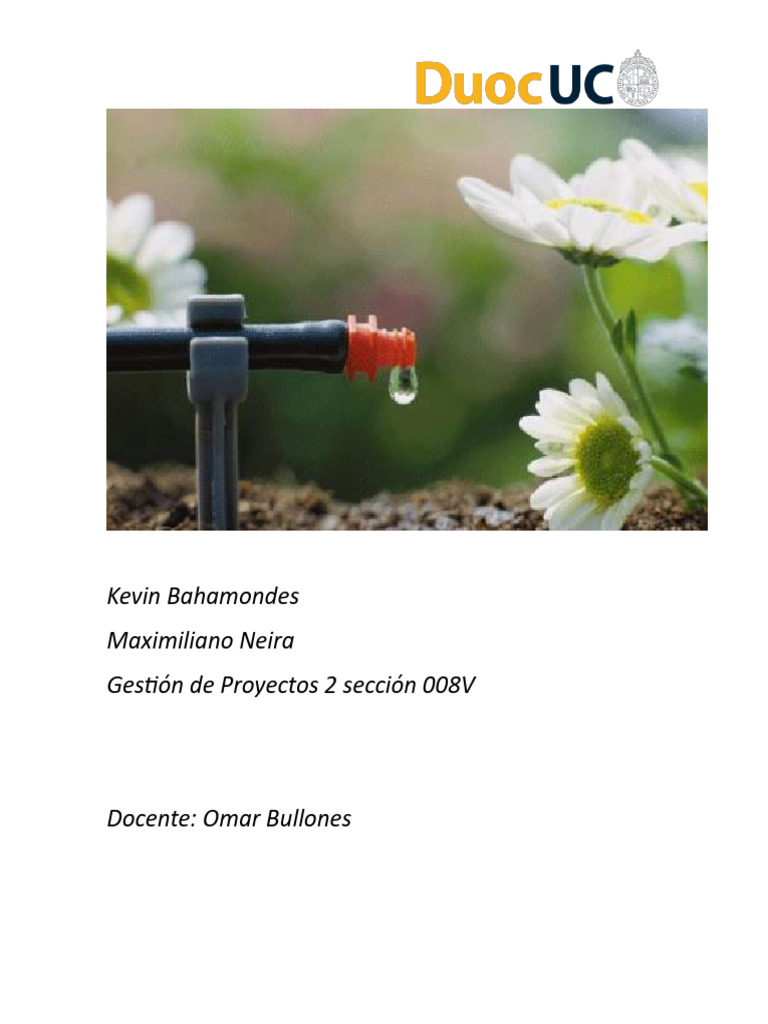 Gestion de Proyectos | PDF | Lean Manufacturing | Riego