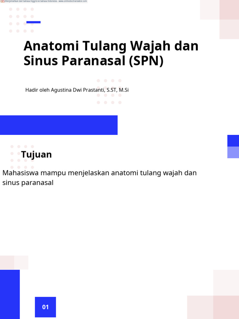 Anatomi Tulang Wajah dan Sinus Paranasal | PDF