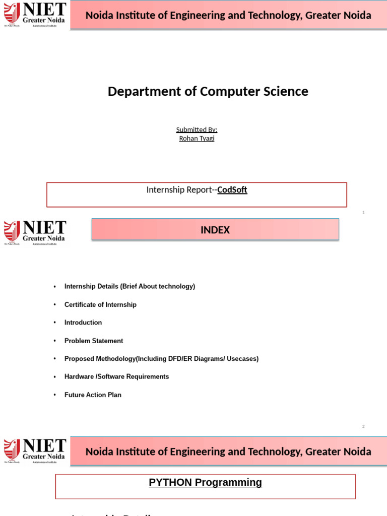 Internship Project | PDF | Computer Programming | Software