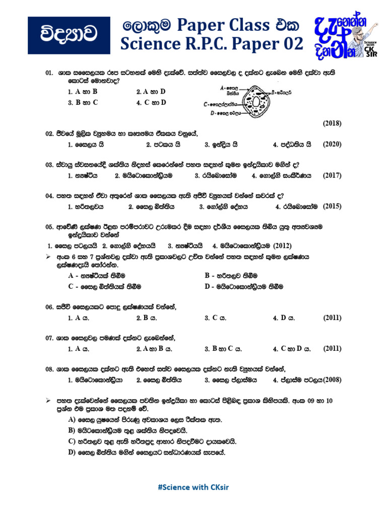 Science Big RPC 02 | PDF