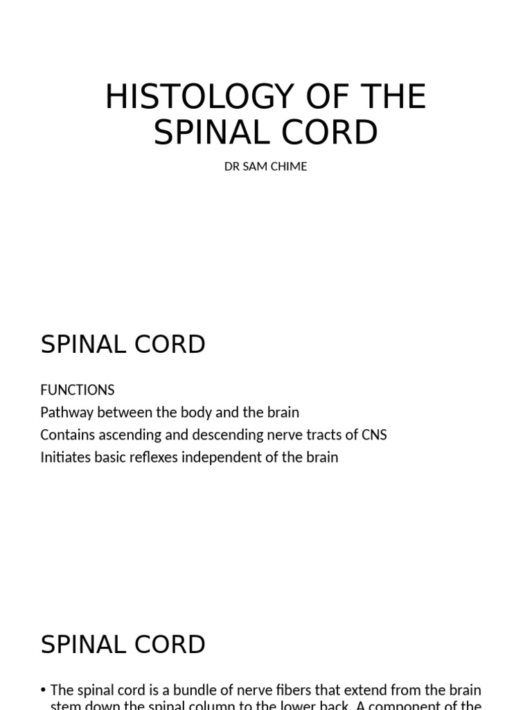 Spinal Cord Histology Overview | PDF | Spinal Cord | Vertebral Column
