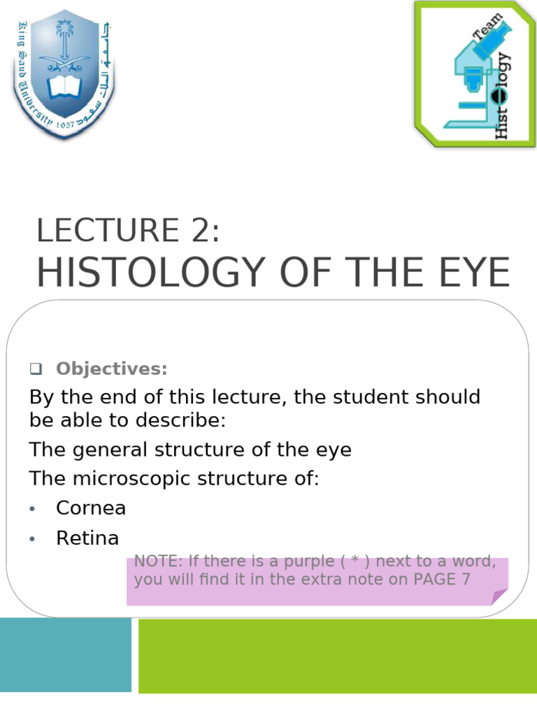 L2 - Histology of The Eye | PDF | Cornea | Epithelium