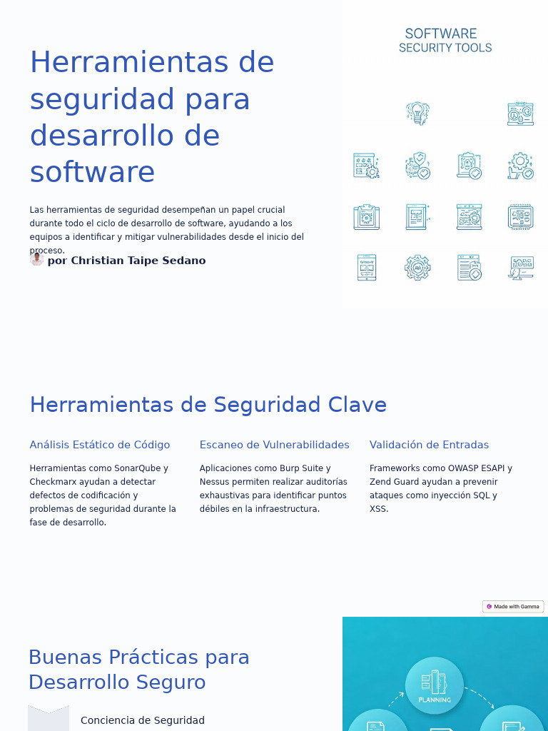Herramientas de Seguridad para Desarrollo de Software | PDF