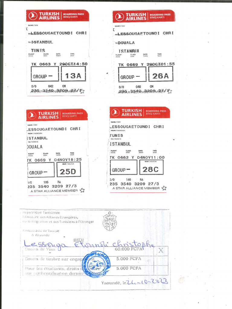 Carte D'embarquement Aller Et Retour | PDF