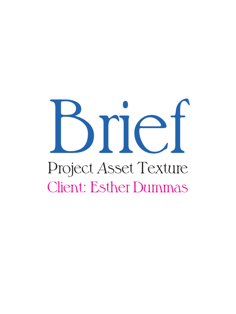 Asset Texture Proyect Brief | PDF