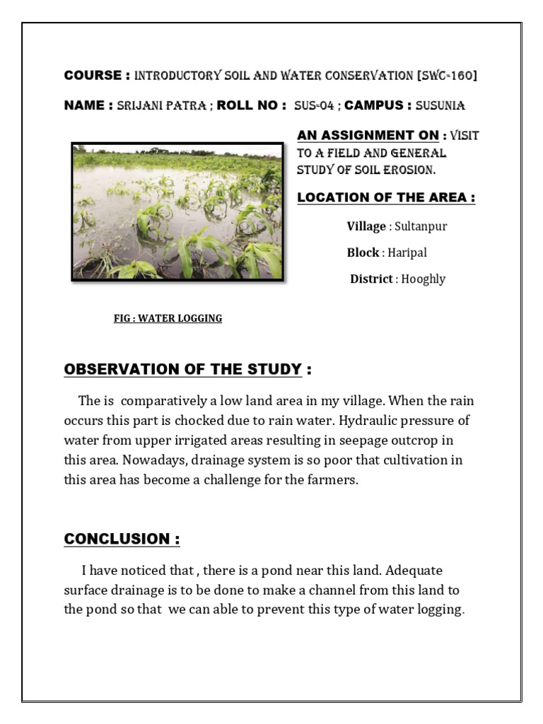 SWC Assignment | PDF