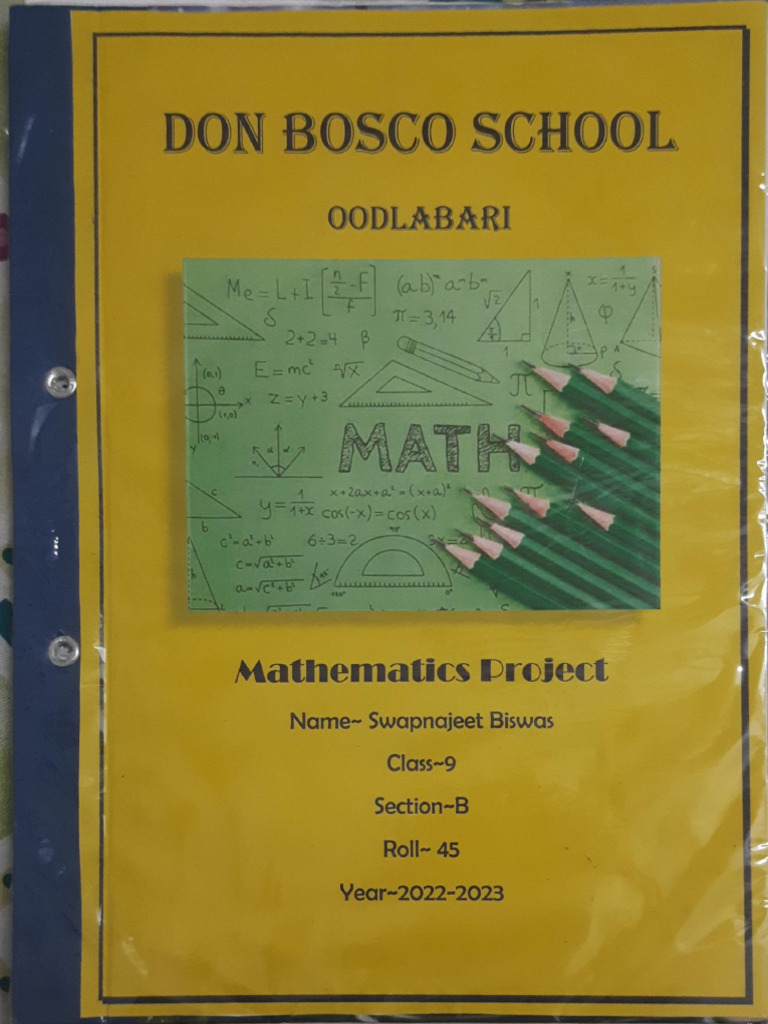 Mathematics Project Class 9 Icse | PDF