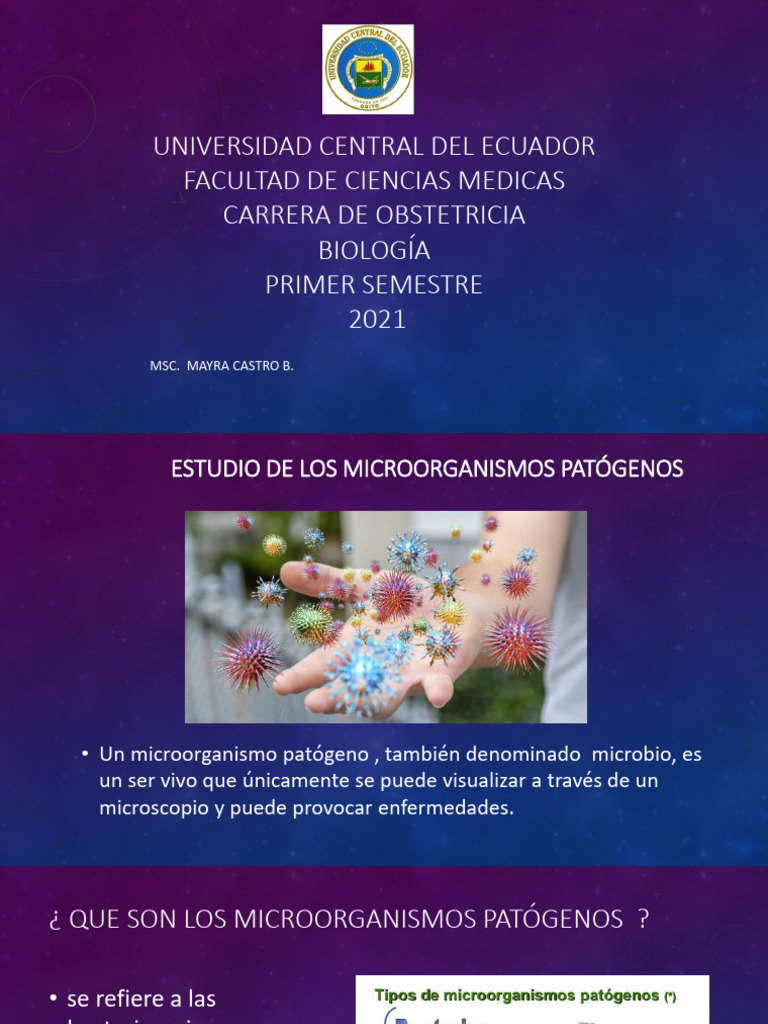 Bacterias | PDF | Microorganismo | Las bacterias