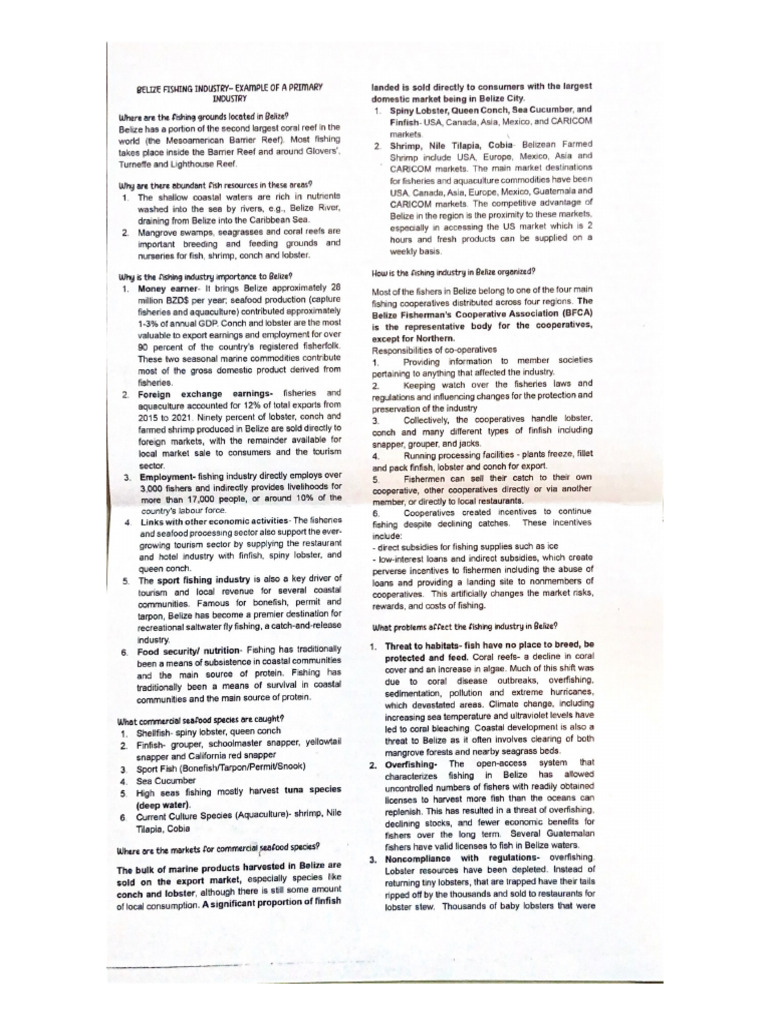 Belize Fishing Industry - Example of A Primary | PDF