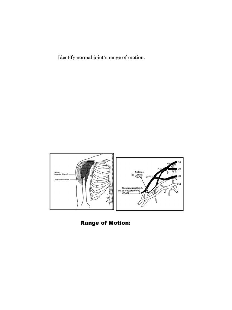 MMT - Shoulder Ms-1 Lecture | PDF | Anatomical Terms Of Motion | Shoulder