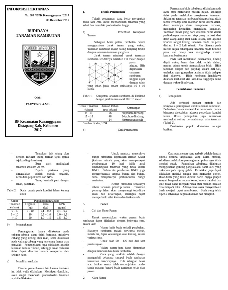 Panduan Budidaya Rambutan | PDF