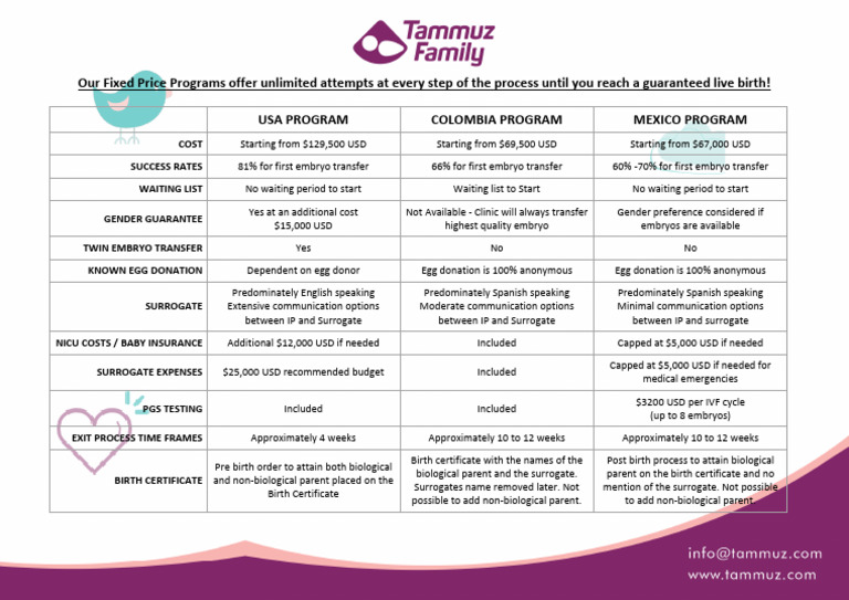 Affordable Surrogacy Programs Overview | PDF | Surrogacy | Fertility