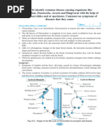 NELA Risk Calculator Overview | PDF | Blood Pressure | Clinical Medicine