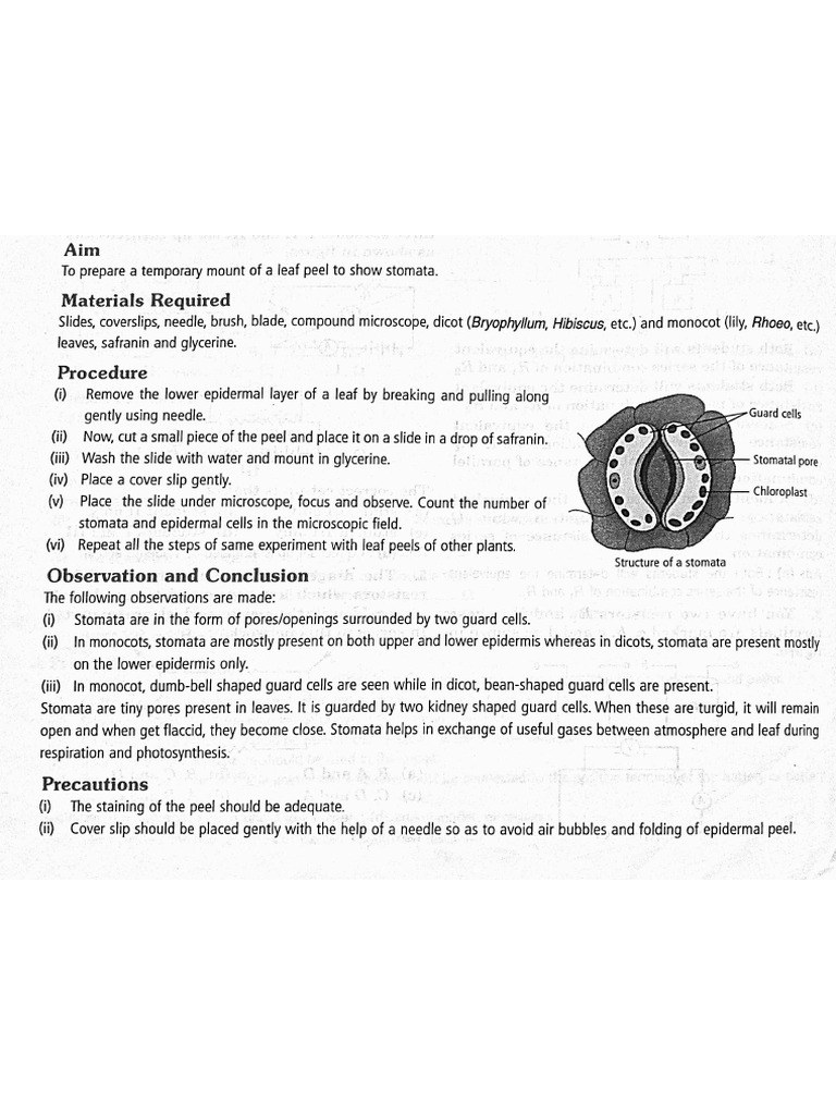 Class 10 Bio Pratical | PDF